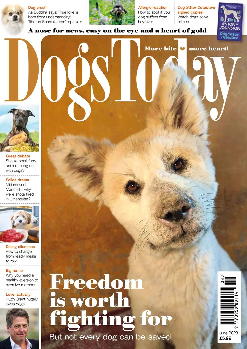 Dogs Today_June_2023