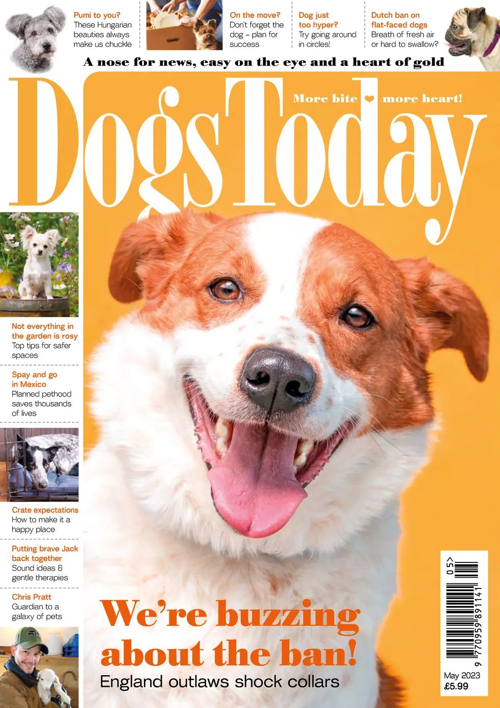 Dogs Today_May_2023
