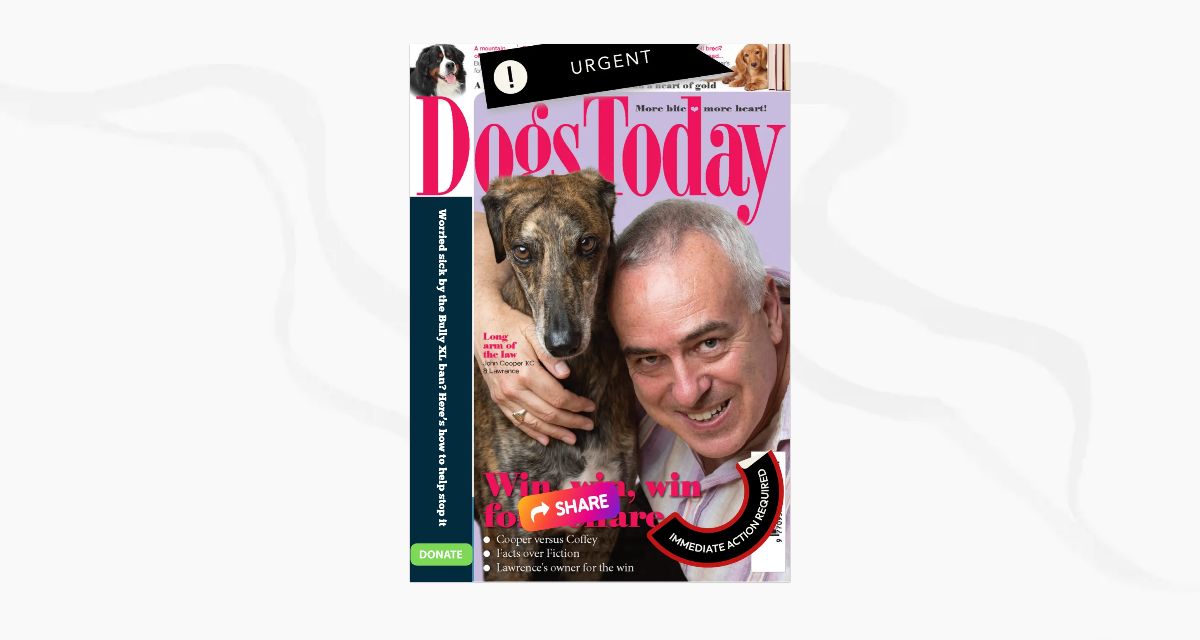 Dogs Today Bully XL emergency issue