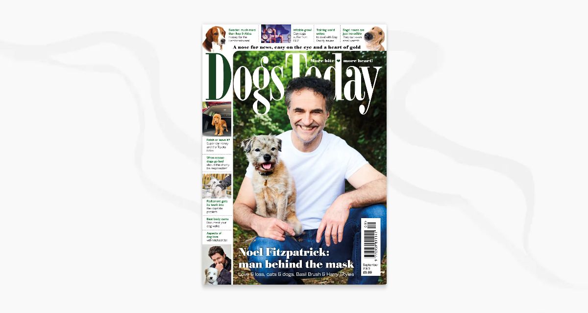 Dogs Today_September_2023