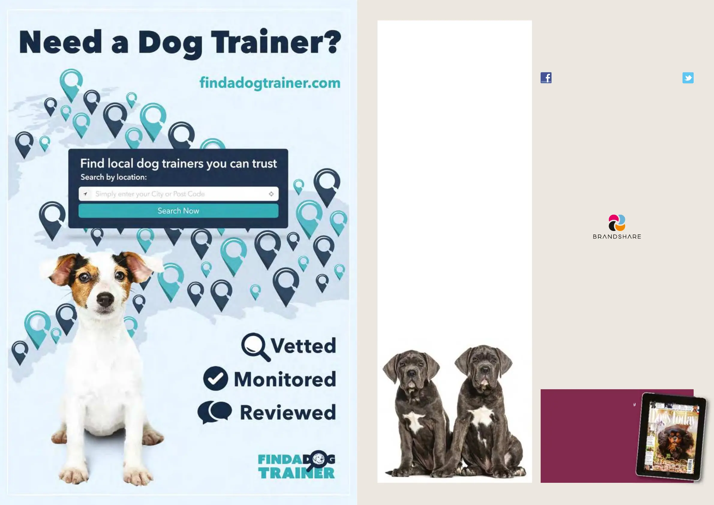 Dogs Today_June_2024